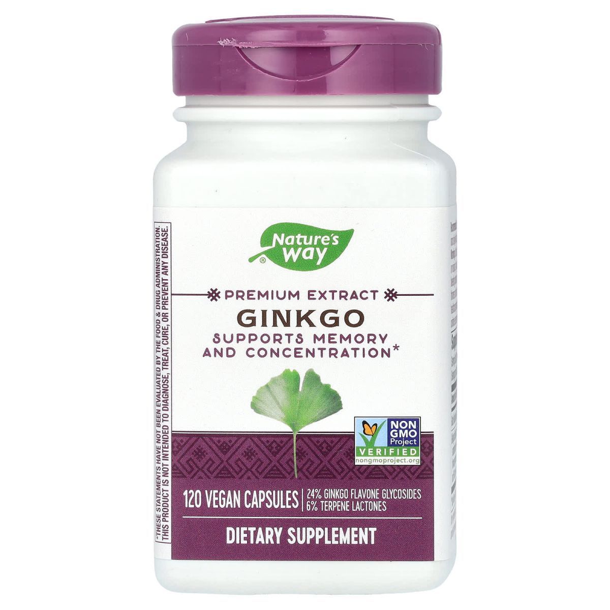 Standardized Ginkgo Biloba 120 capsules